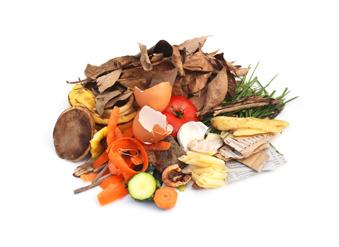 Restes de repas (sans viande) | SBA